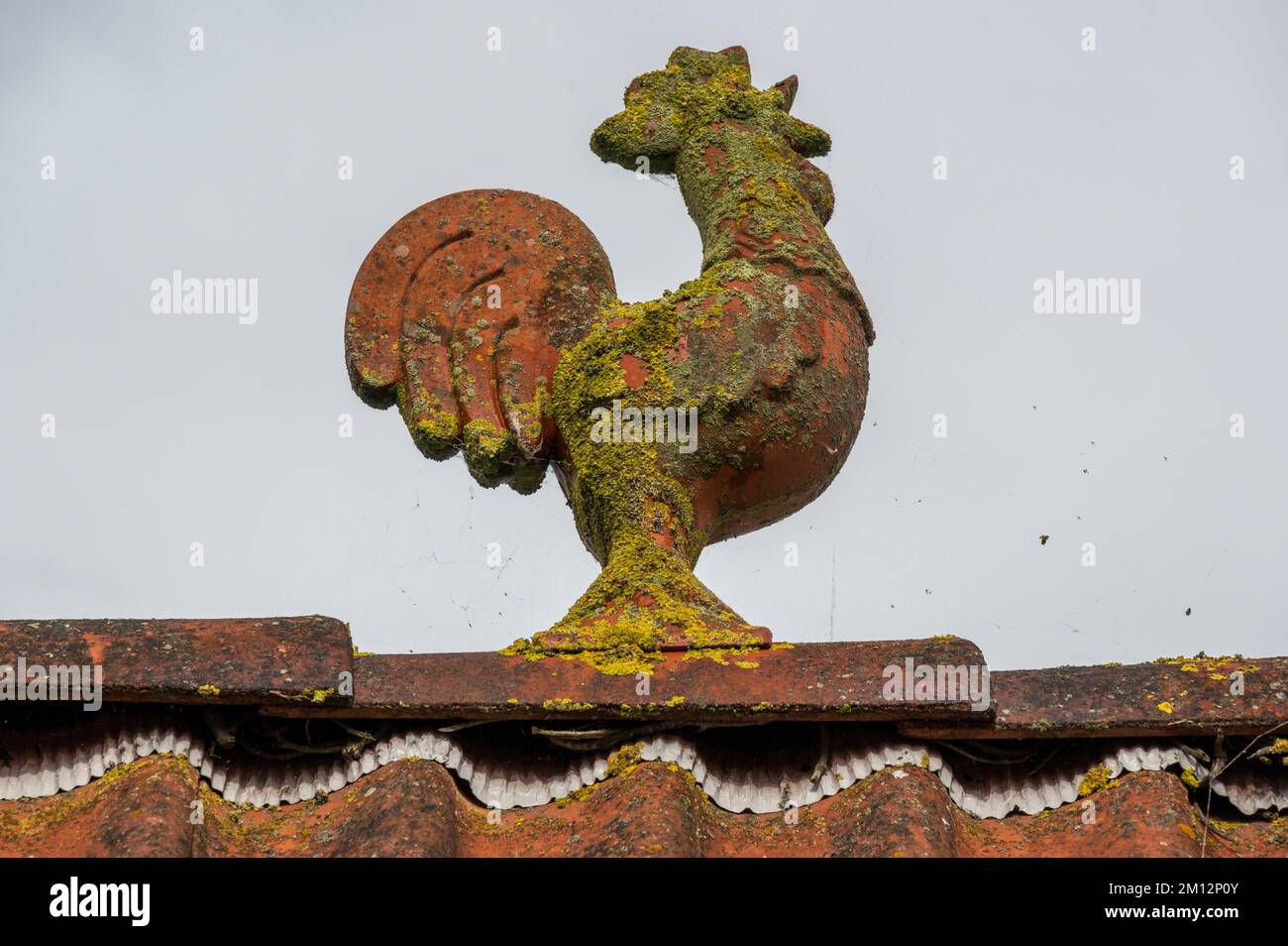 Germany, Baltic Sea, Mecklenburg-Western Pomerania, Peene River ...
