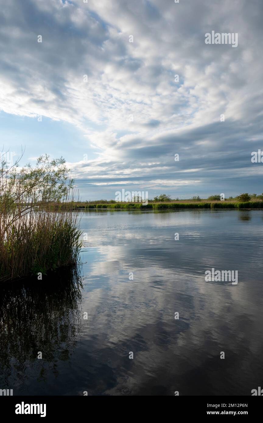 Germany, Baltic Sea, Mecklenburg-Western Pomerania, Peene river ...
