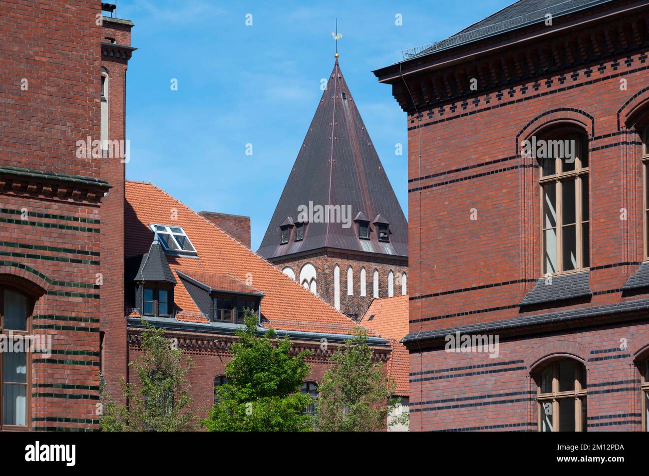 Germany, Baltic Sea, Mecklenburg-Western Pomerania, Greifswald Bodden ...