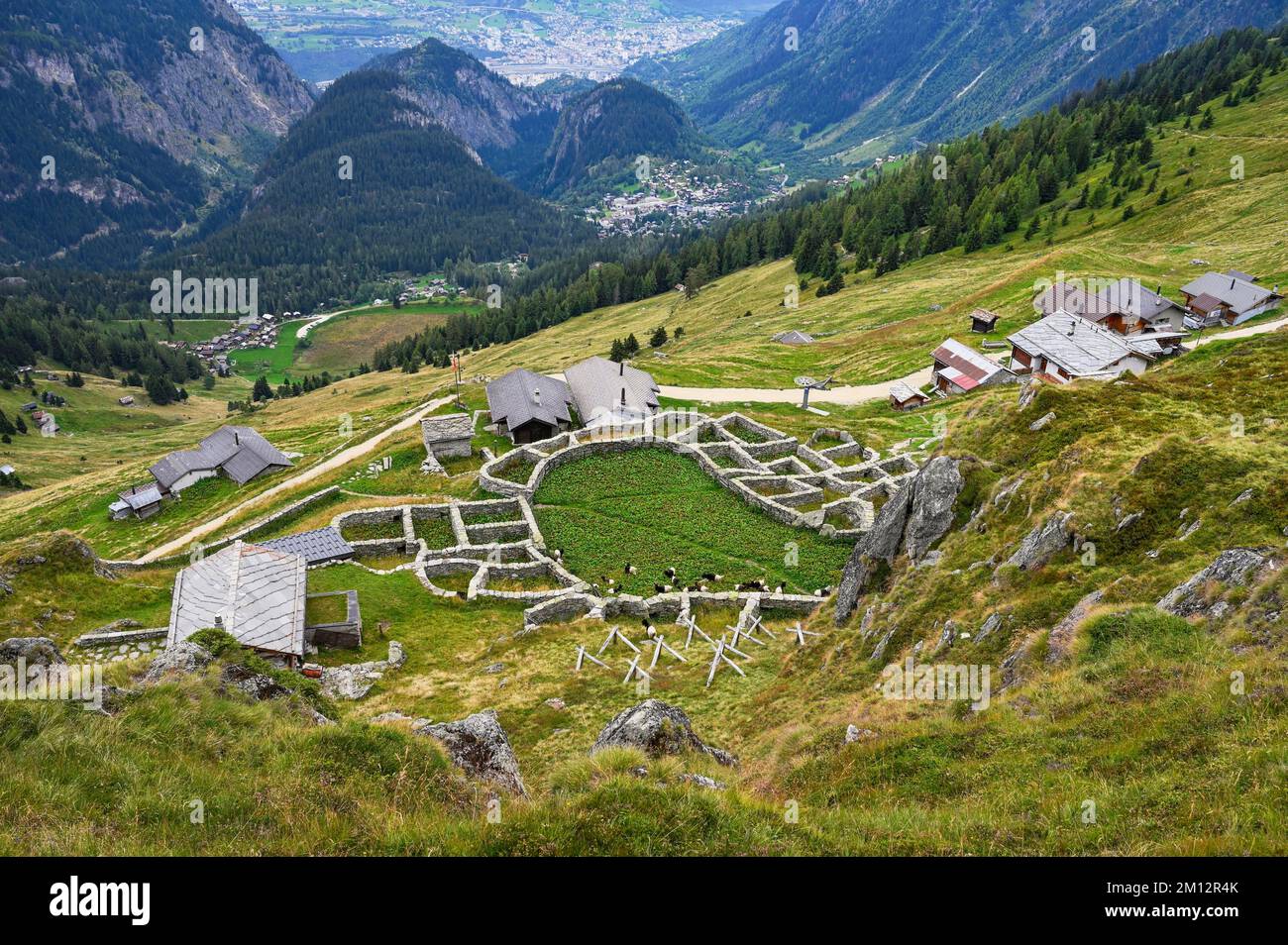 Enclosure made of dry stone walls for traditional alpine pasture ...