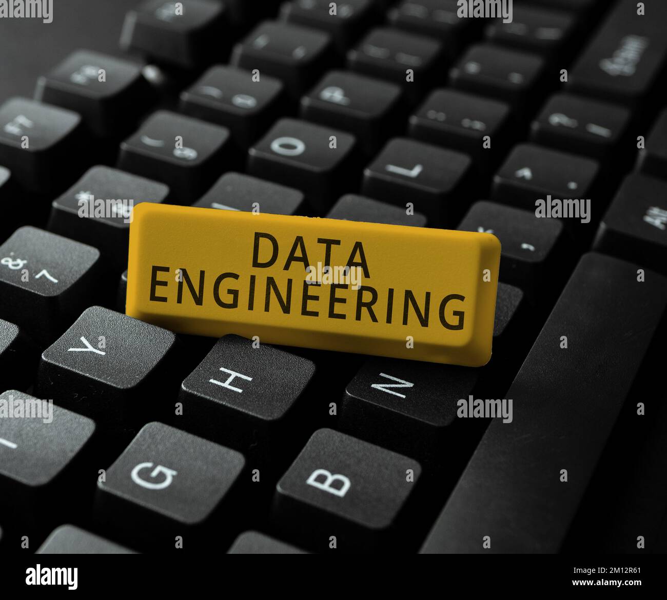 Text showing inspiration Data Engineering. Concept meaning data science ...