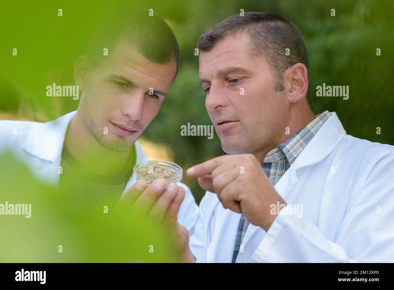 scientist and biologist working together on earth analysis Stock Photo ...