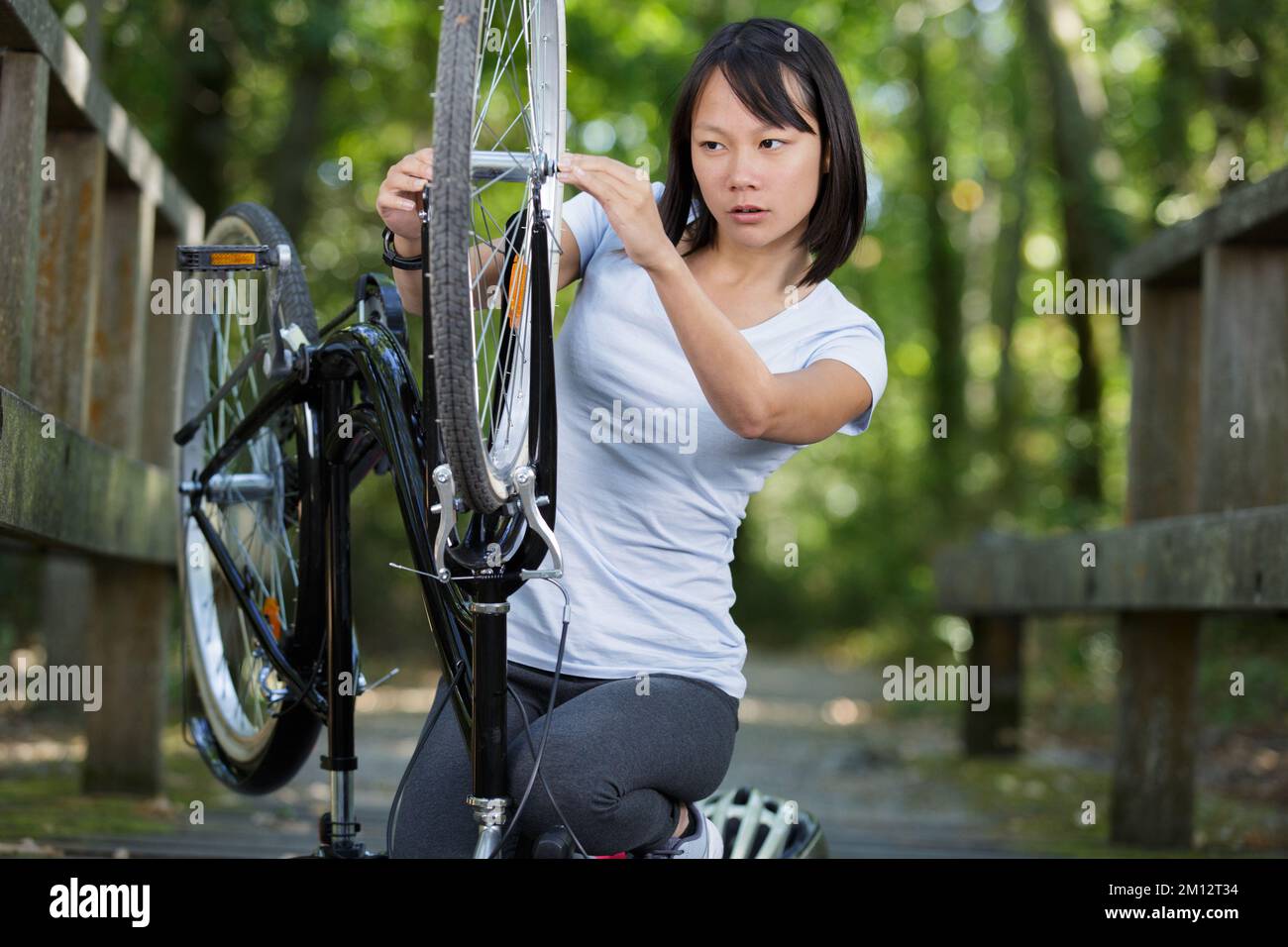 E bike woman field hi-res stock photography and images - Alamy
