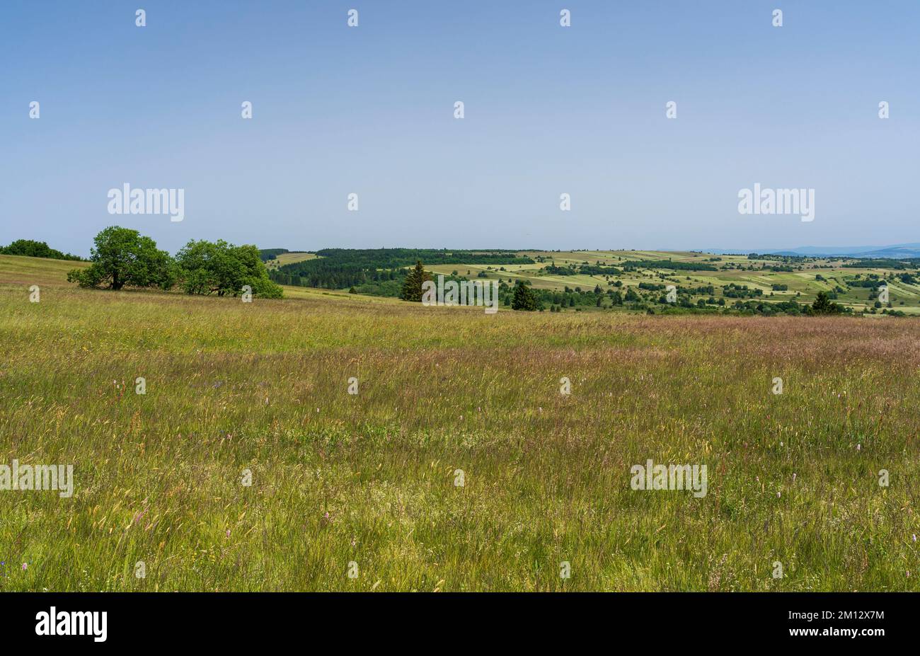 The Lange Rhön Nature Reserve in the core zone of the Rhön Biosphere ...