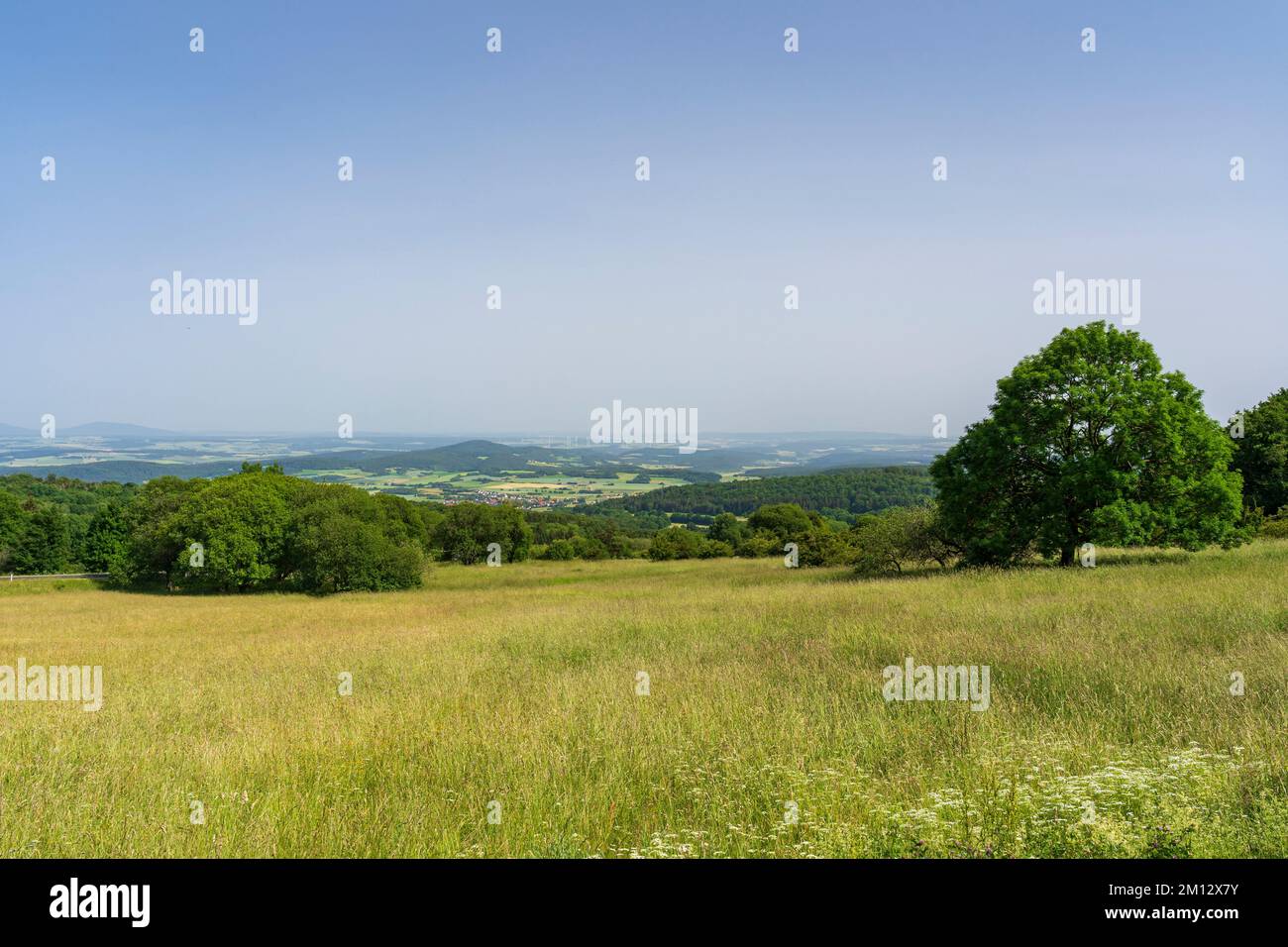 The Lange Rhön Nature Reserve in the core zone of the Rhön Biosphere ...