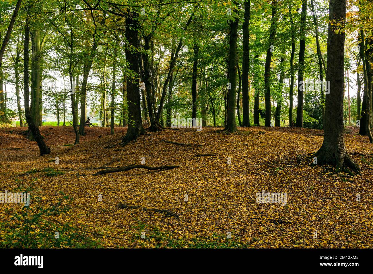 The sunken castle brockhusen hi-res stock photography and images - Alamy
