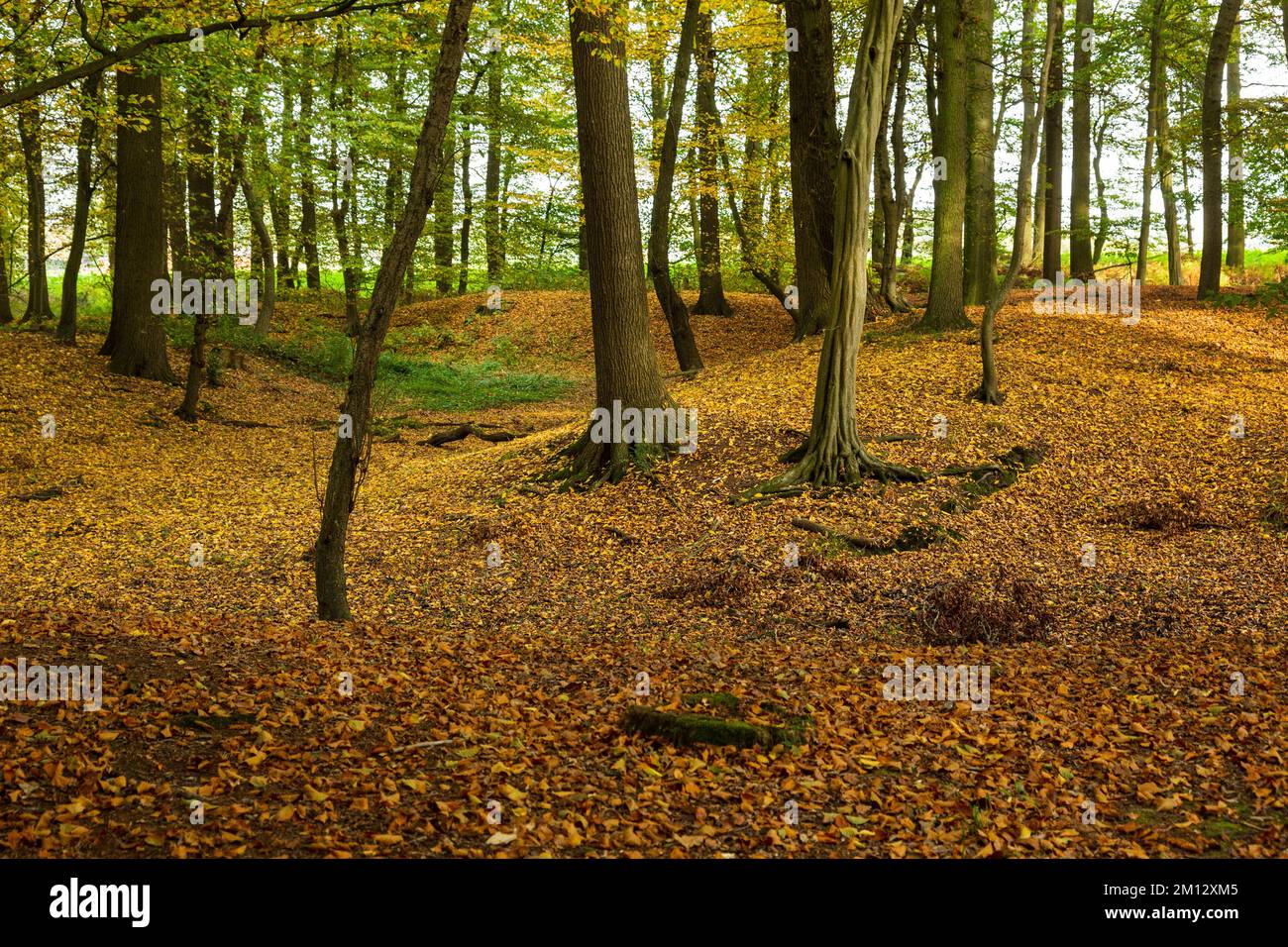 Brockhusen castle hi-res stock photography and images - Alamy