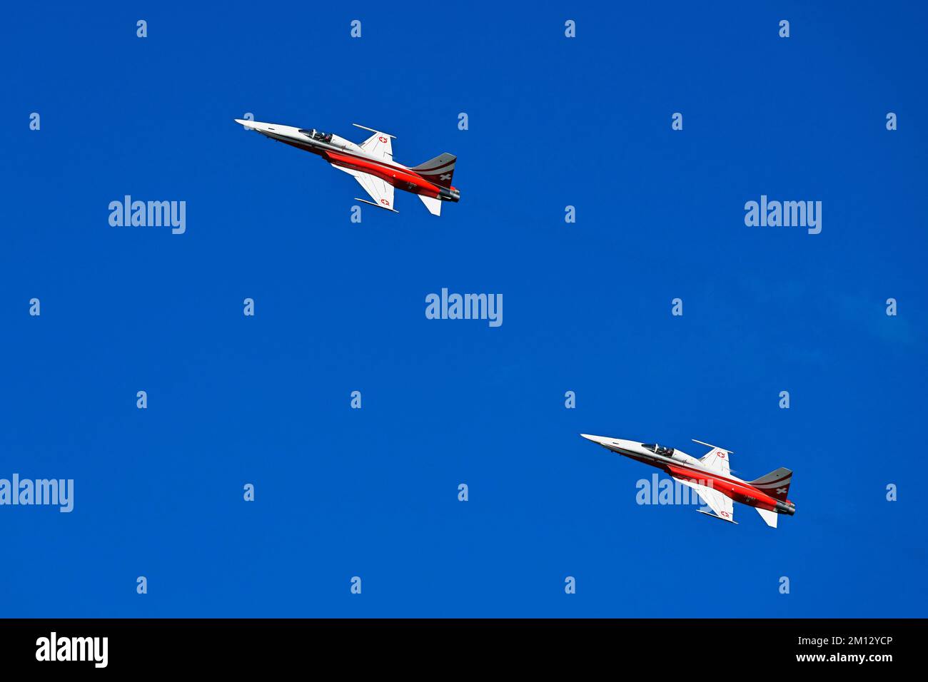 Formation flight of the Patrouille Suisse with the Northrop F-5E Tiger ...