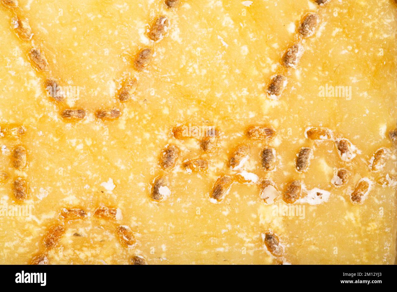 Parmesan cheese texture as background. Close shot of Parmesan cheese ...