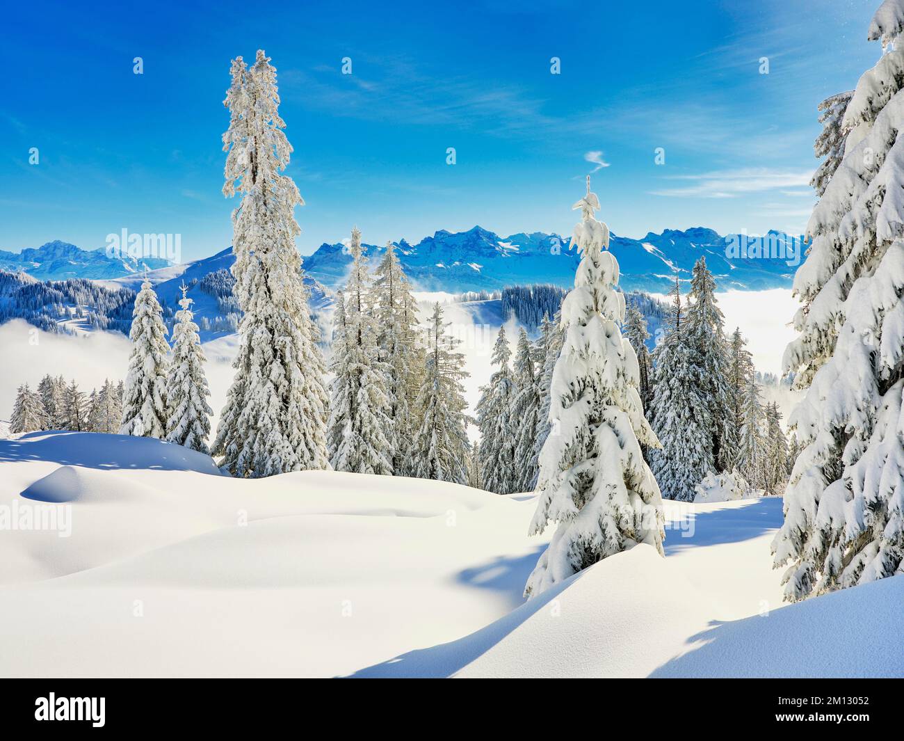 Swiss alps landscape photography hi-res stock photography and images ...