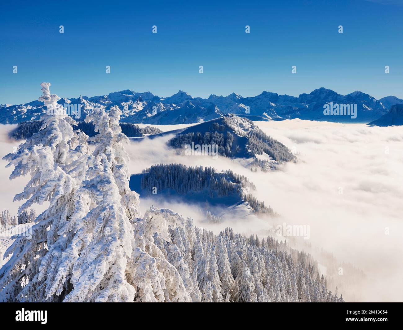 Winter landscape, Deeply snow-covered forest behind the Central Swiss ...