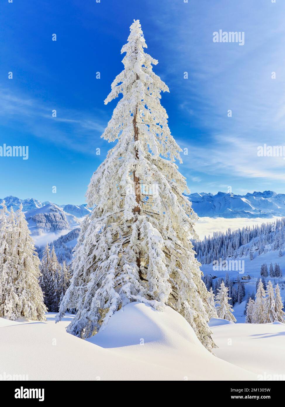 Swiss alps landscape photography hi-res stock photography and images ...