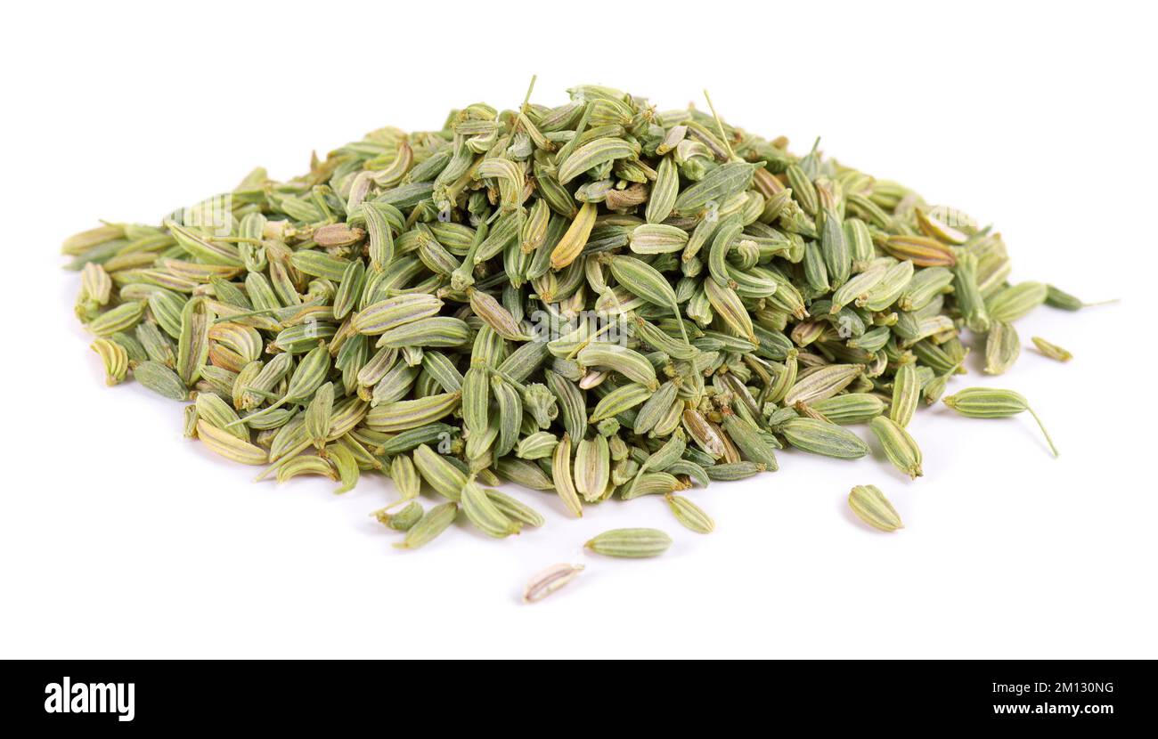 Fennel seeds isolated on white background. Green fennel grains. Spices ...