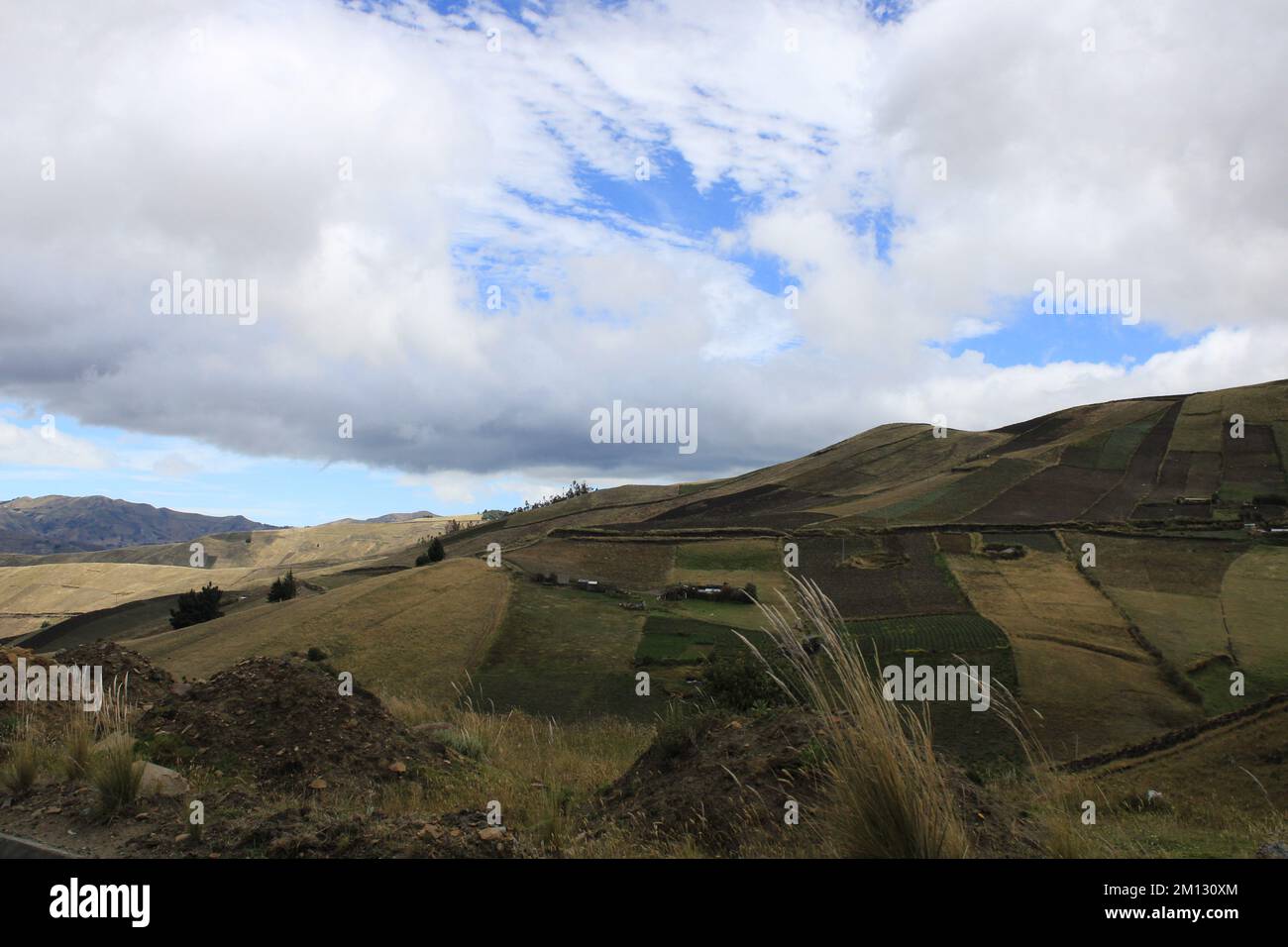 Farmland in the Countryside of Ecuador Stock Photo - Alamy