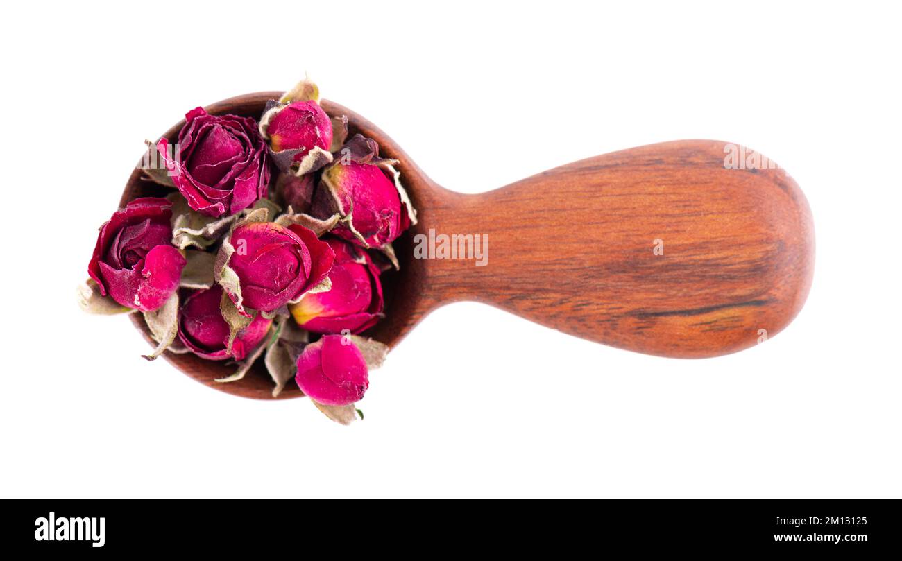 Heap of dry tea roses buds in wooden spoon, isolated on white ...