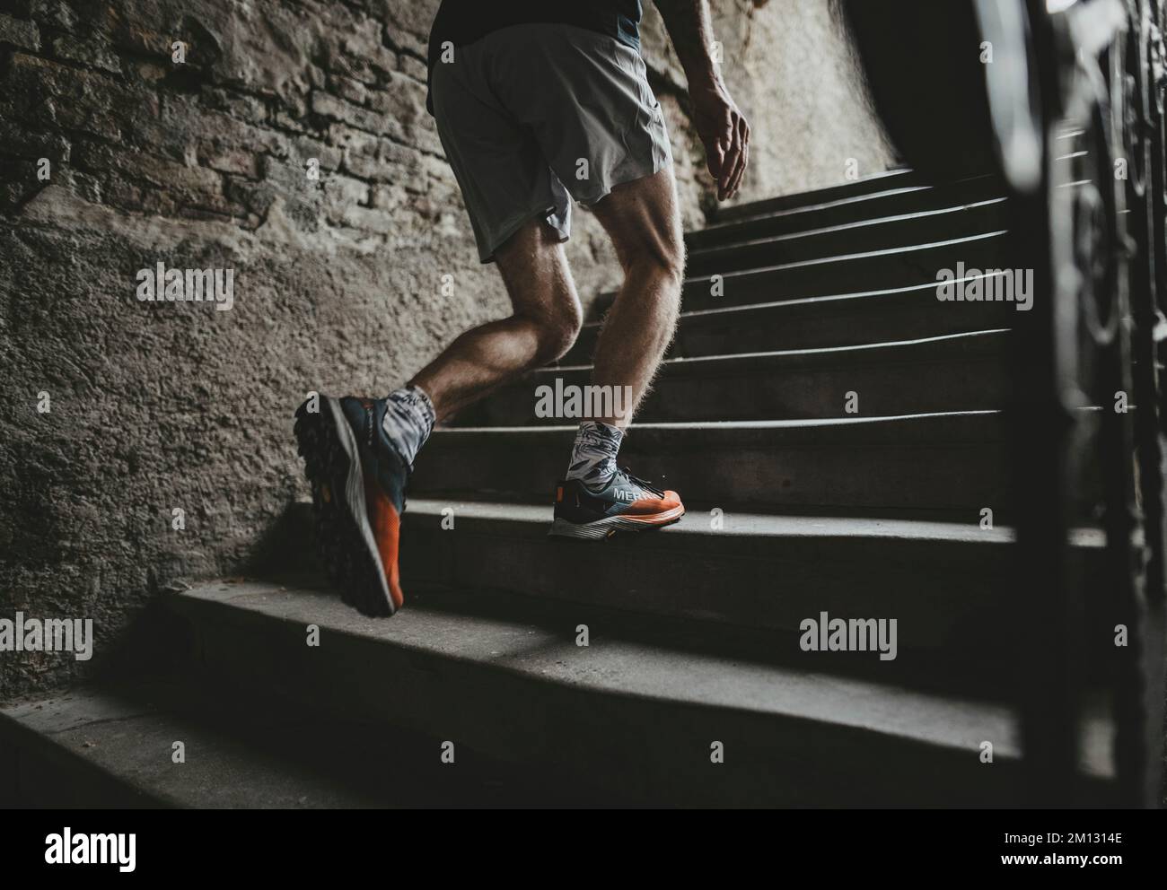 Germany, Baden-Wuerttemberg, Sigmaringen, Hohenzollern castle, stairs ...