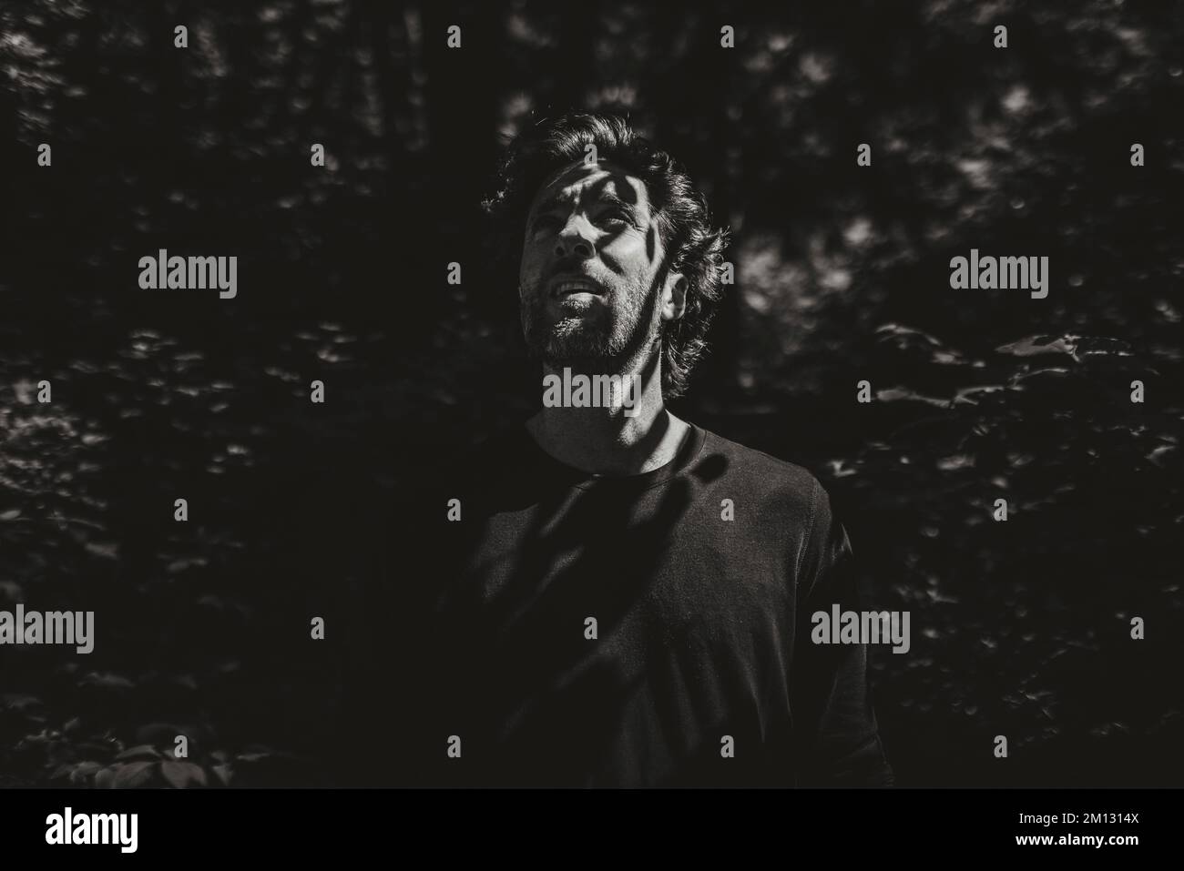 Bushes, Man, Portrait, Light, shadow Stock Photo - Alamy