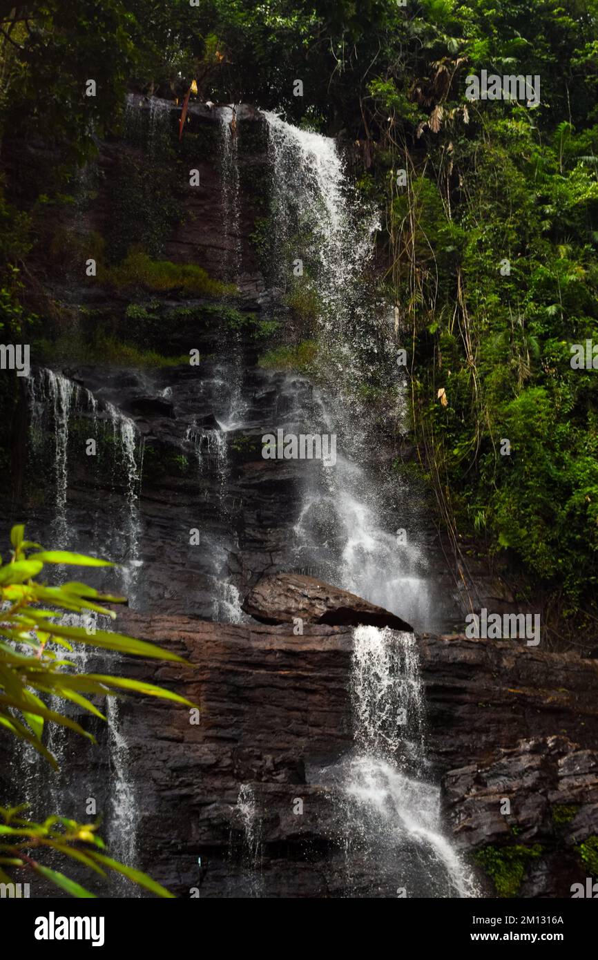 A vertical shot of Jhari falls in Chikmagalur district in Karnataka ...