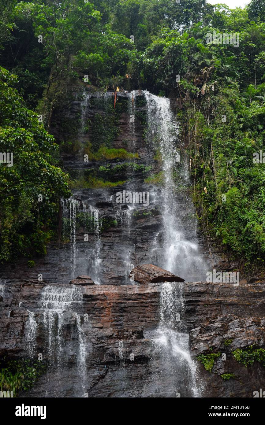 A vertical shot of Jhari falls in Chikmagalur district in Karnataka ...