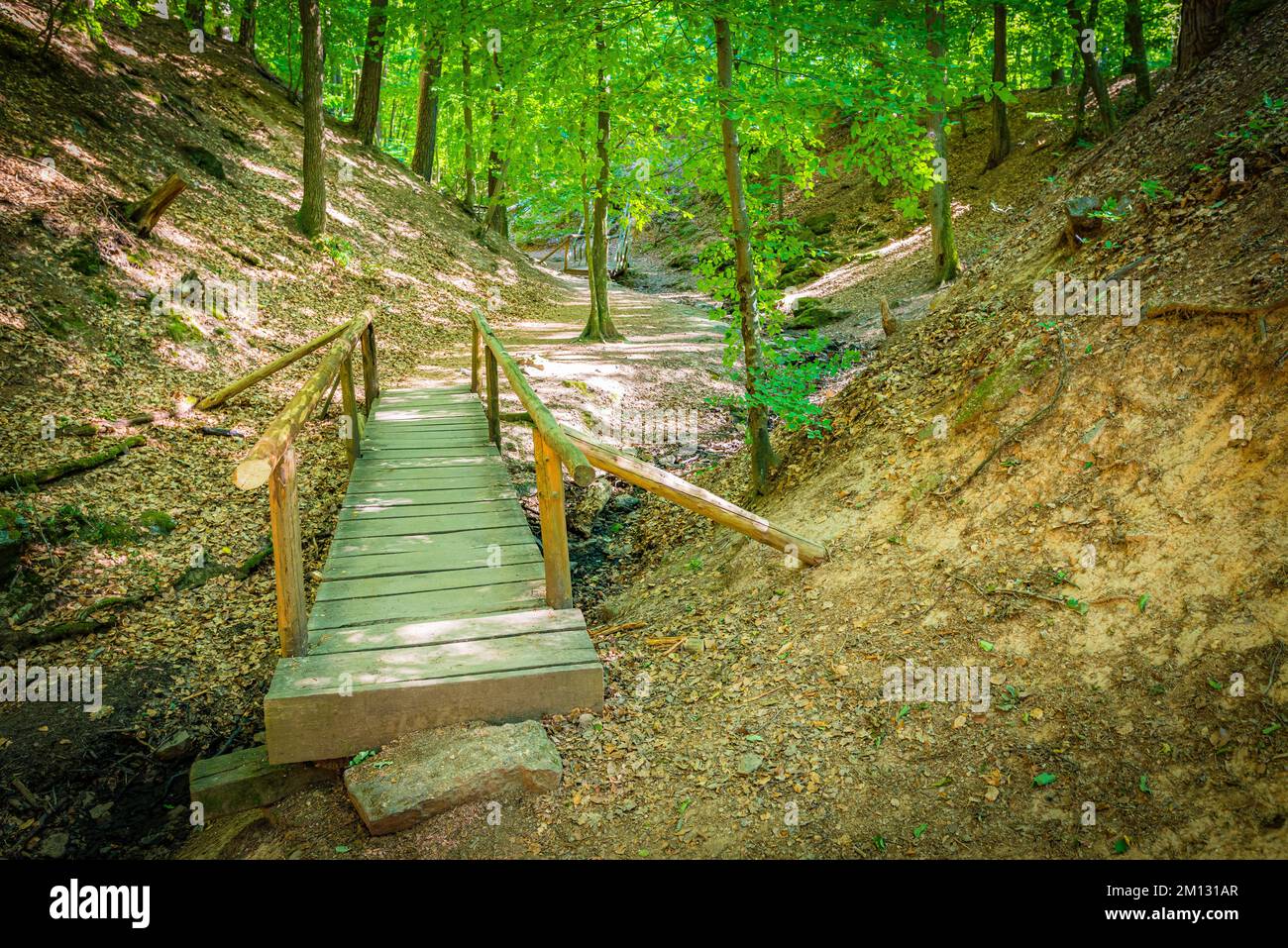 A gorge in the Bingen forest, created by the Hasselbach stream which ...