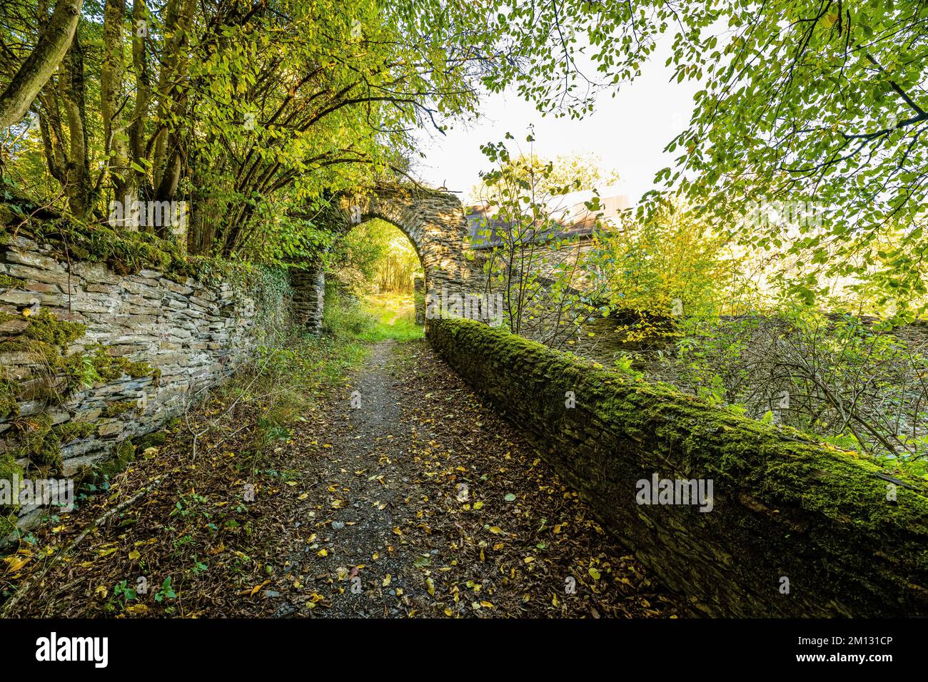 The ruins of a spur castle hi-res stock photography and images - Alamy