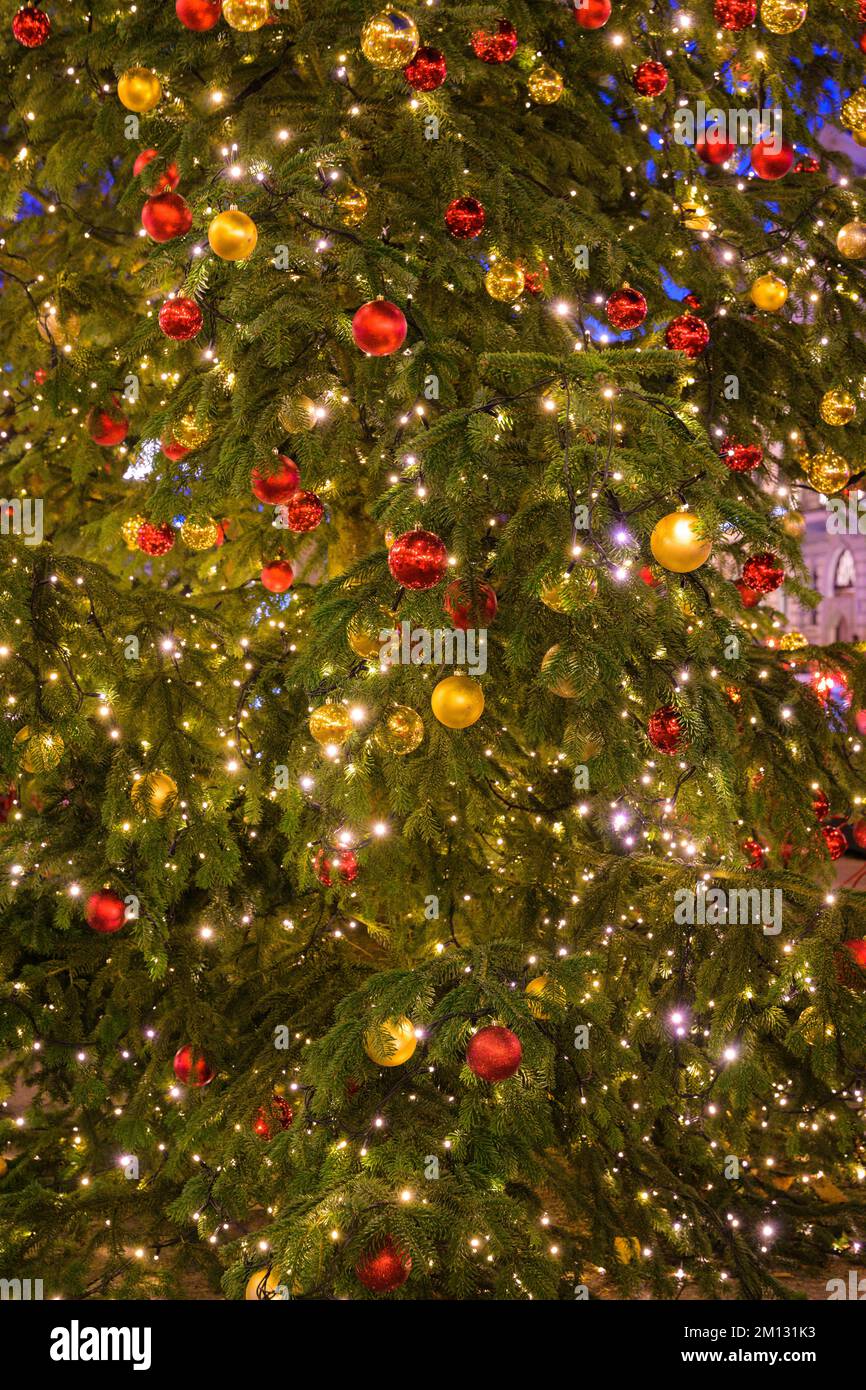 Christmas tree at Café Luitpold in Munich, Bavaria, Germany, Europe ...