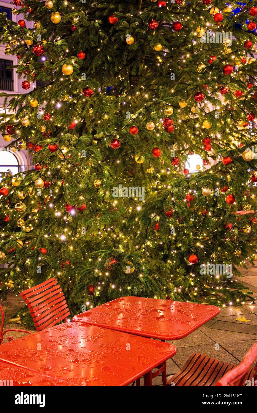 Christmas tree at Café Luitpold in Munich, Bavaria, Germany, Europe ...