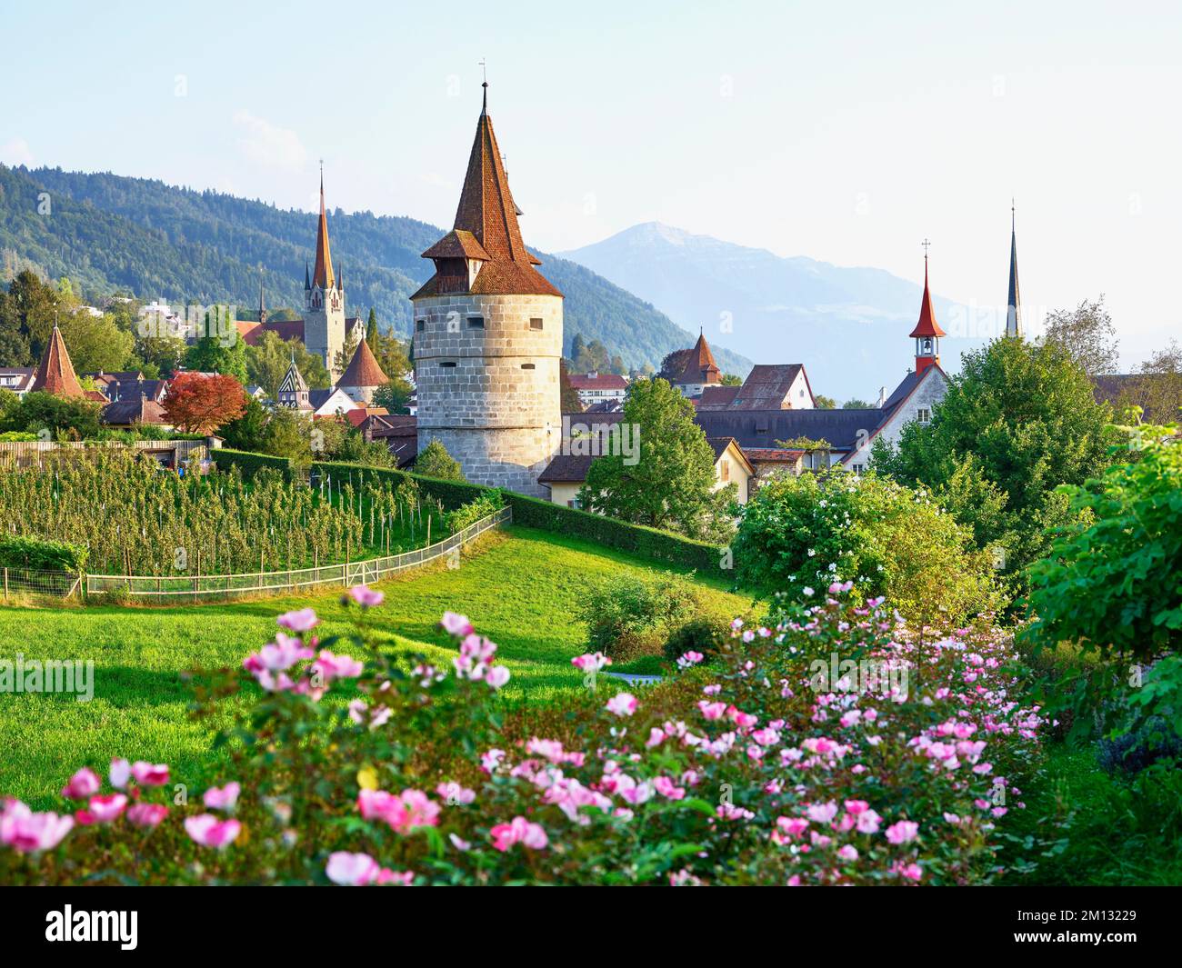 Rose Garden behind Capuchin Tower, Church, Old Town and Rigi, Zug ...