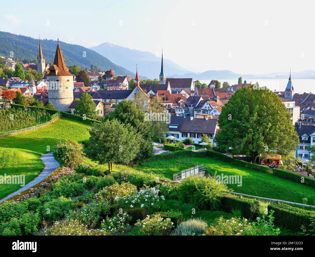 Rose Garden behind Capuchin Tower, Church, Old Town and Rigi, Zug ...