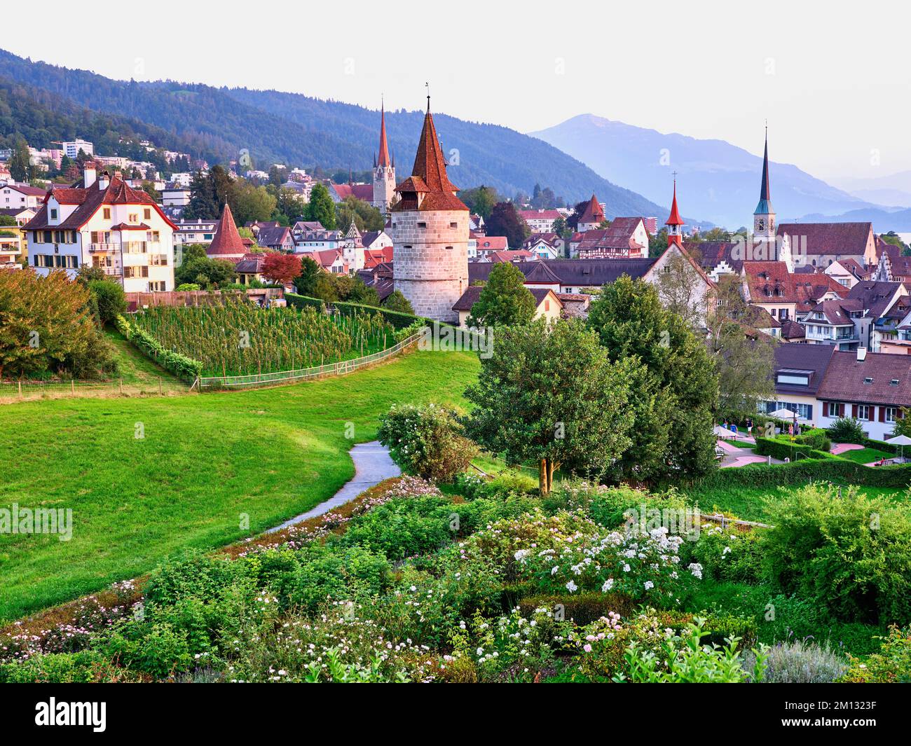 Rose Garden behind Capuchin Tower, Church, Old Town and Rigi, Zug ...