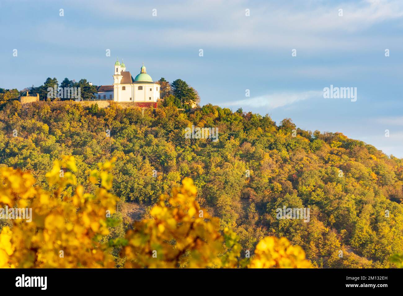 Vienna, vineyards at hill Nußberg, mountain Leopoldsberg (with church ...