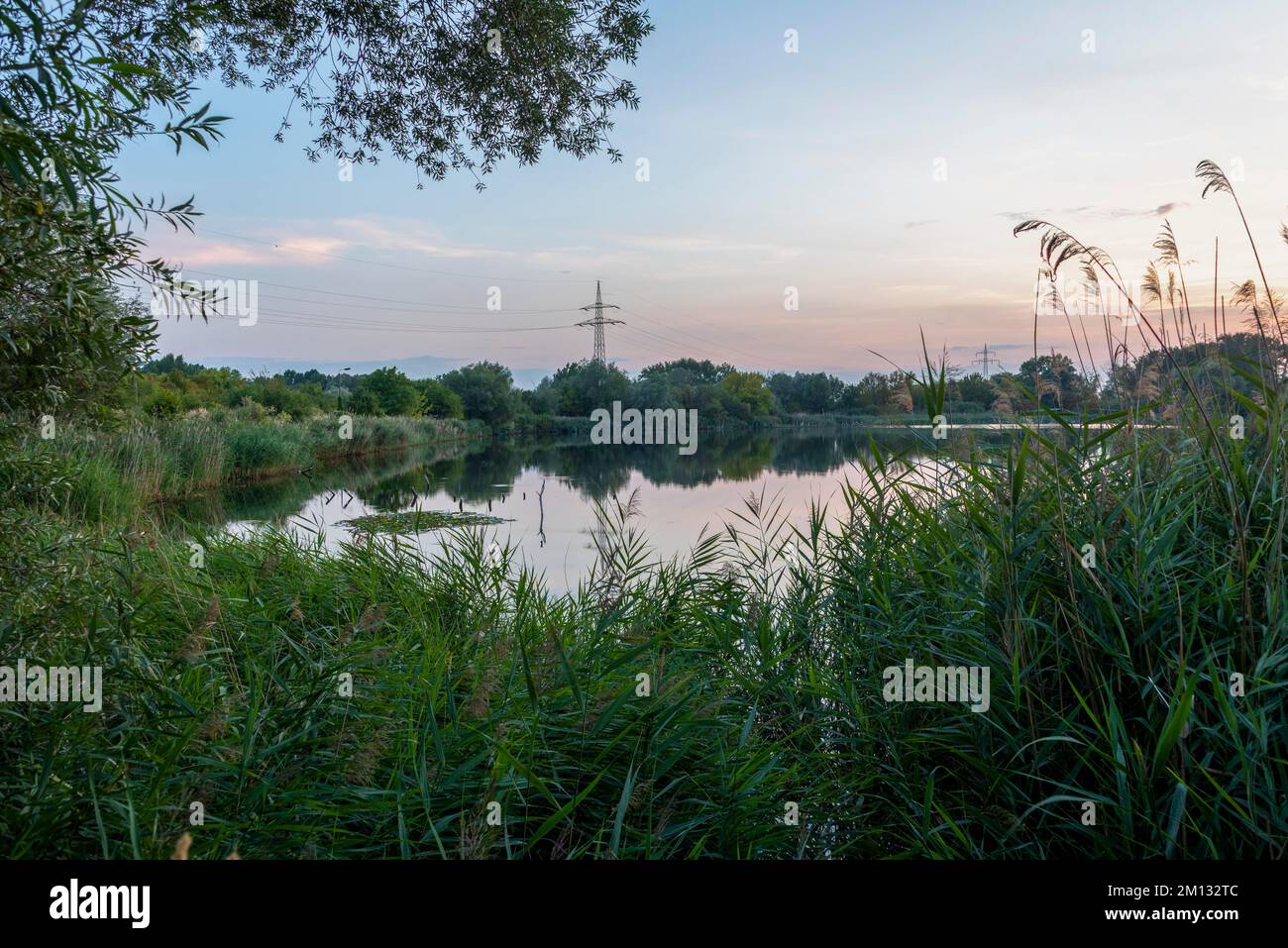 Nature reserve in salzlandkreis hi-res stock photography and images - Alamy