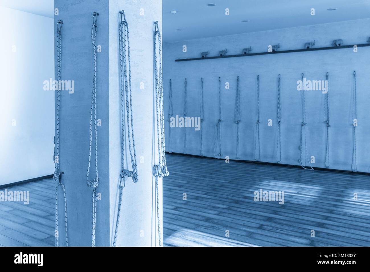 Yoga ropes hanging on empty studio wall. Iyengar yoga Stock Photo - Alamy