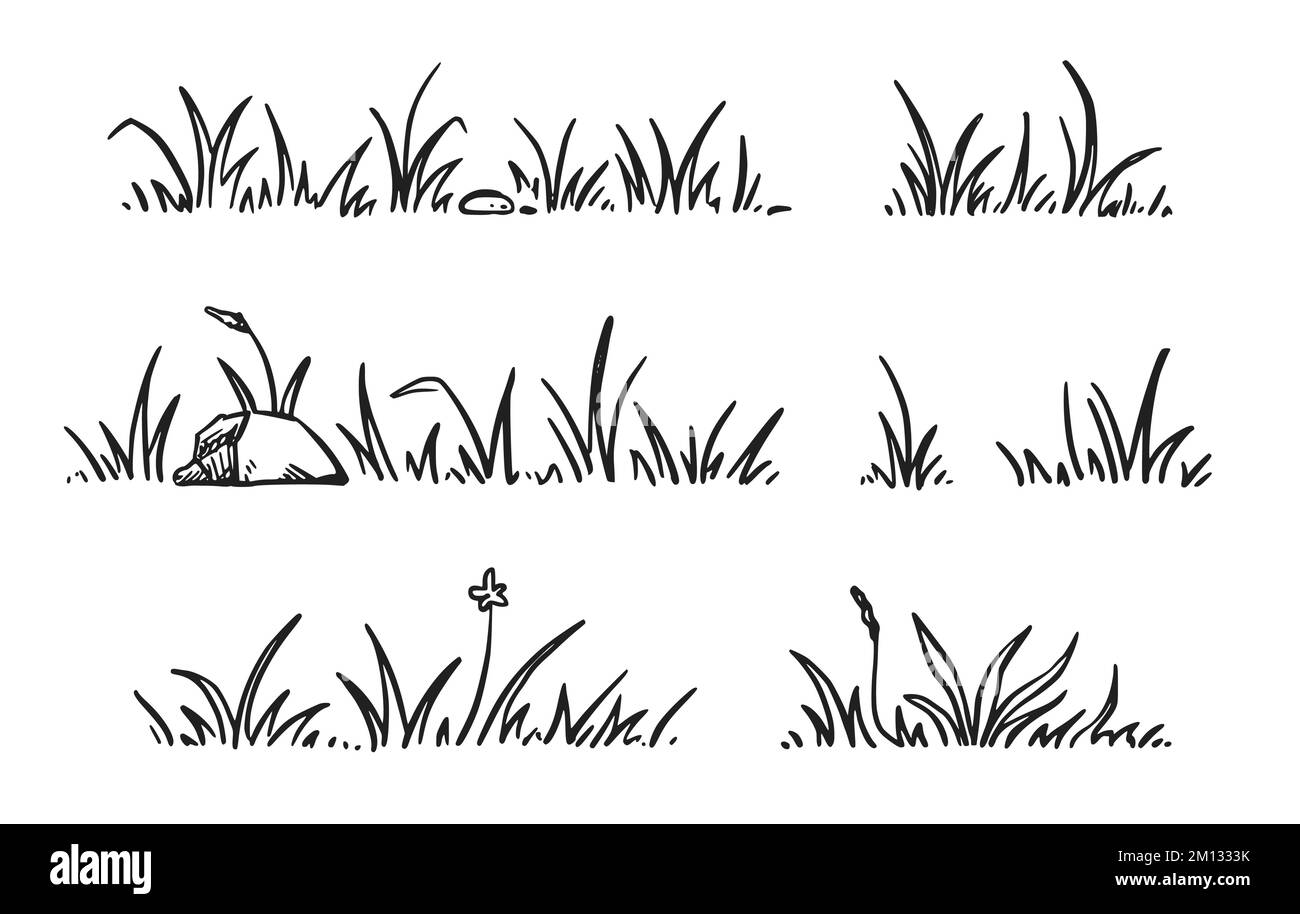 Grass Doodle Sketch Style Set Hand Drawn Grass Field Outline Scribble Background Sprout