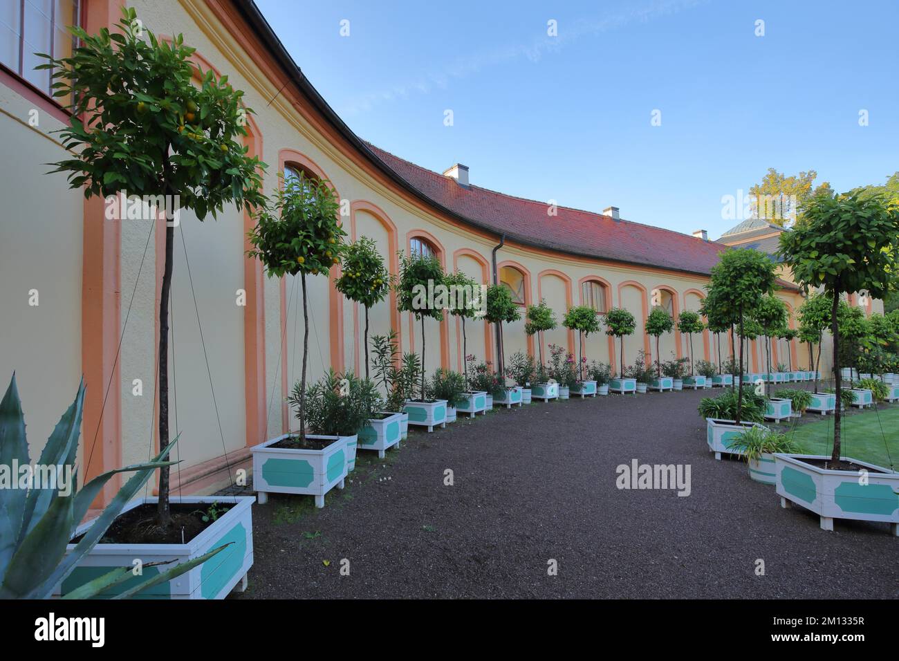 Orangery, orange trees, row, Belvedere Palace, Weimar, Thuringia ...