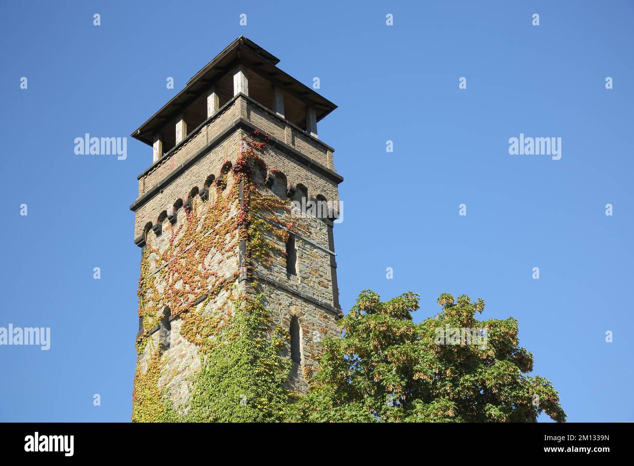 Tower at Kellerskopf, Naurod, Wiesbaden, Taunus, Hesse, Germany, Europe ...