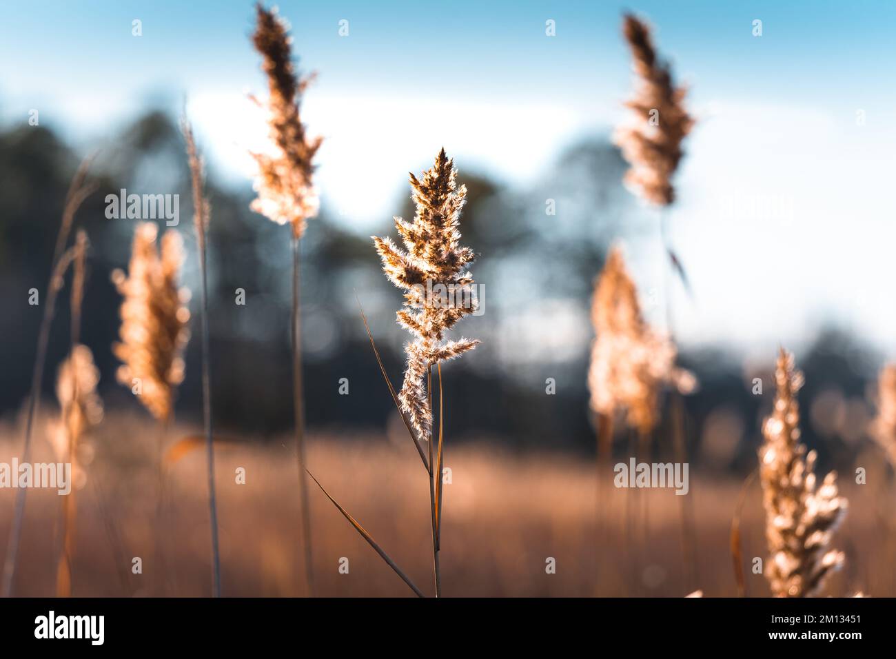 Sunlight shining through waves hi-res stock photography and images - Alamy