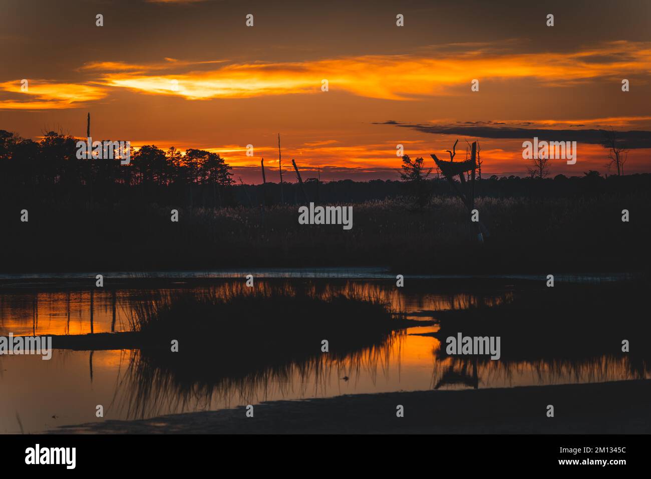 Sunset Marsh with Reflections and Osprey Nest Stock Photo - Alamy