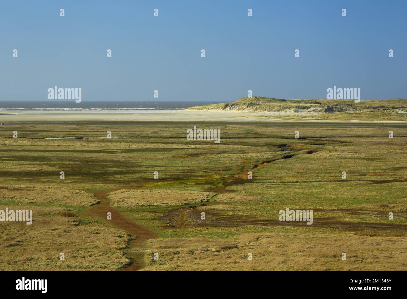 View of landscape with mudflats and dunes, tideway, sandy beach, De ...