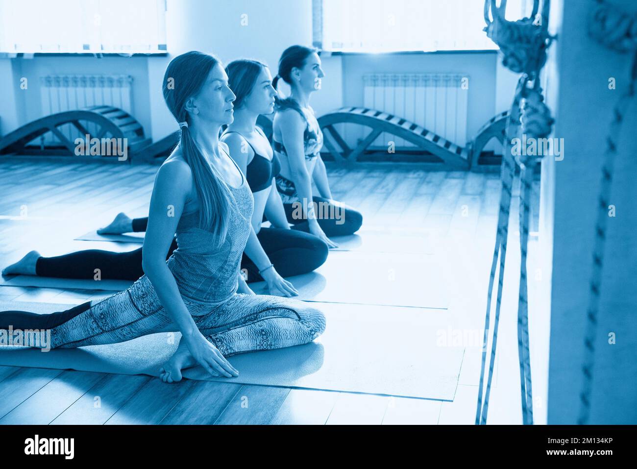 Yoga Class, Group of young women Relaxing and Doing Yoga pose. Wellness ...