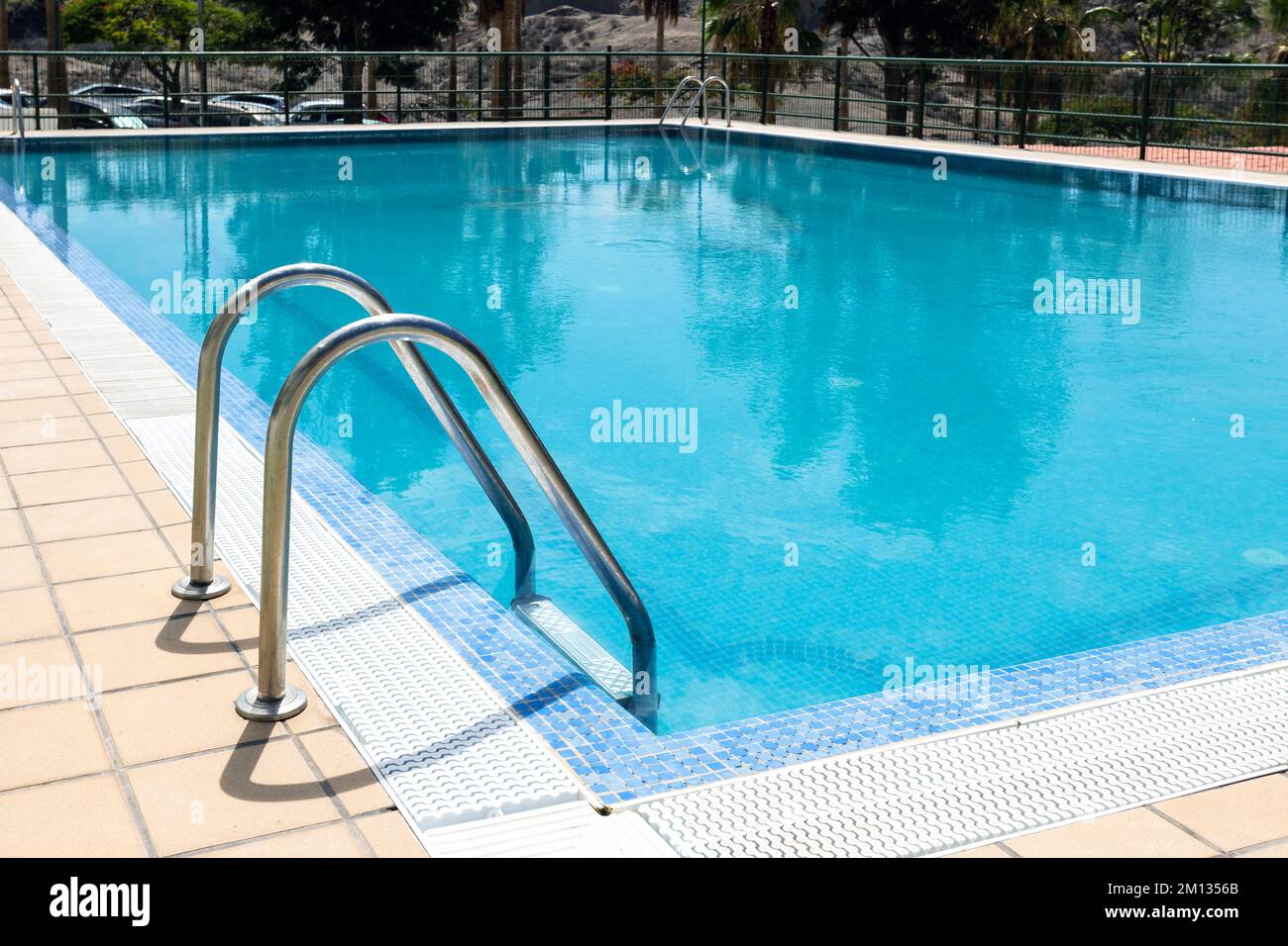 The swimming pool stainless steel handrail descending into tortoise ...