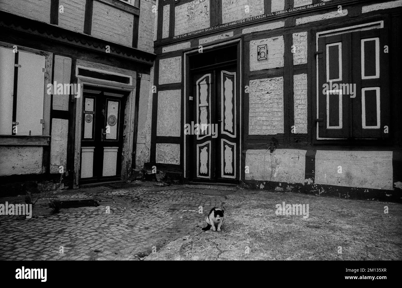Cat building germany Black and White Stock Photos & Images - Alamy