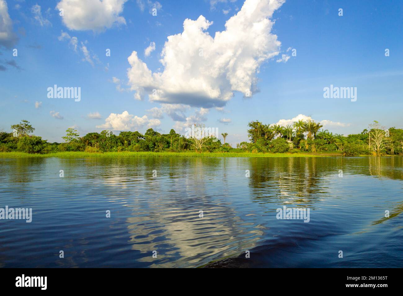 Amazing water landscape of the Amazonas river in the middle of the rain ...