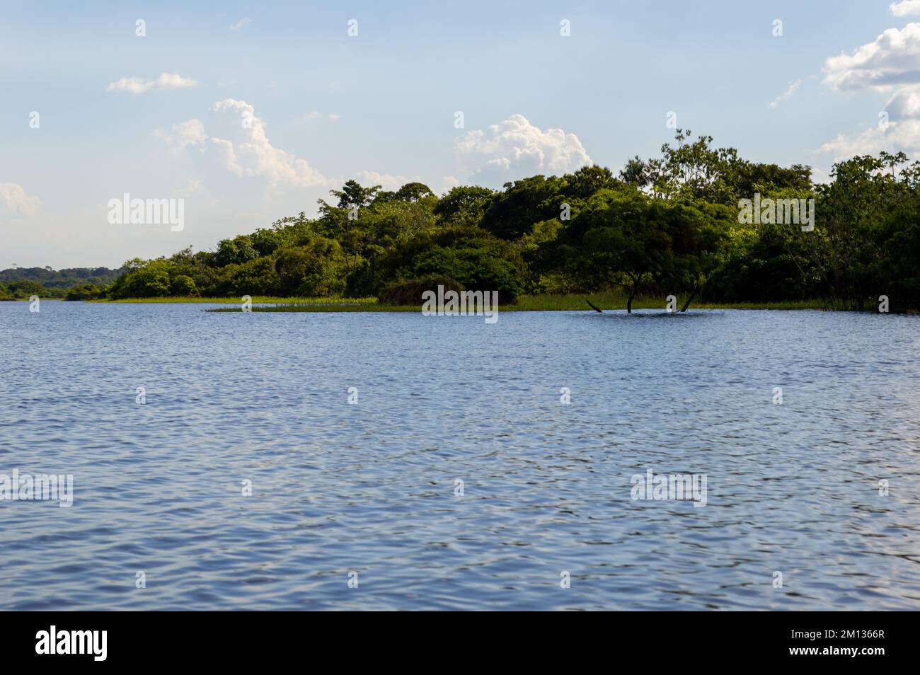 Amazing water landscape of the Amazonas river in the middle of the rain ...