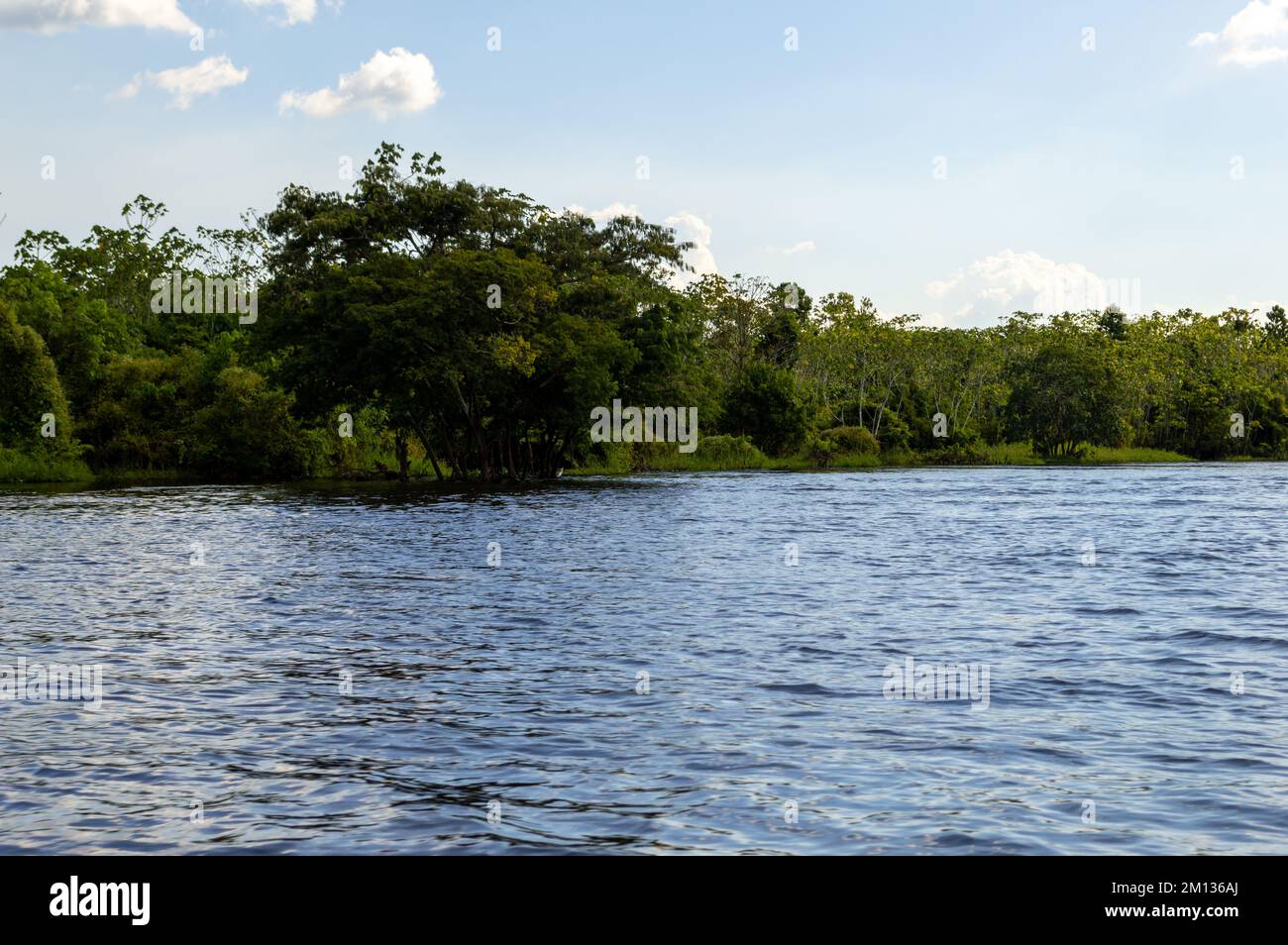 Amazing water landscape of the Amazonas river in the middle of the rain ...