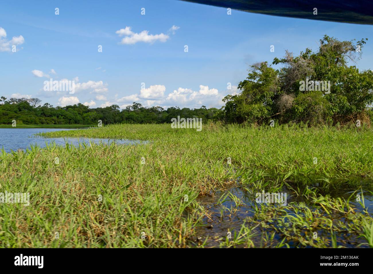 Amazing water landscape of the Amazonas river in the middle of the rain ...