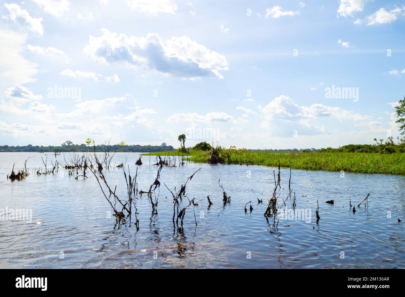 Amazing water landscape of the Amazonas river in the middle of the rain ...