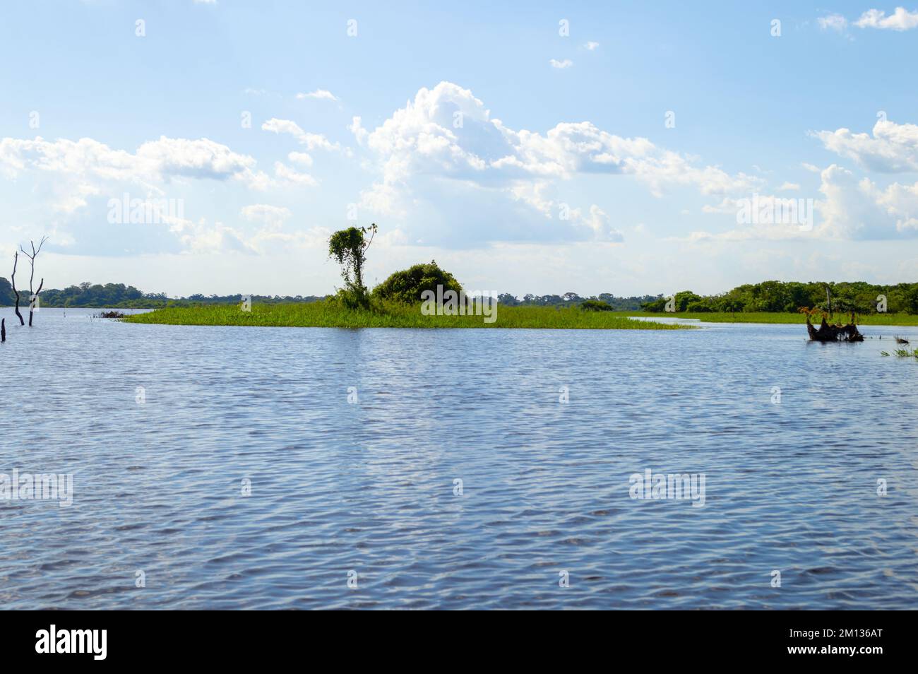 Amazing water landscape of the Amazonas river in the middle of the rain ...