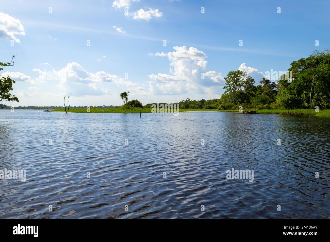 Amazing water landscape of the Amazonas river in the middle of the rain ...