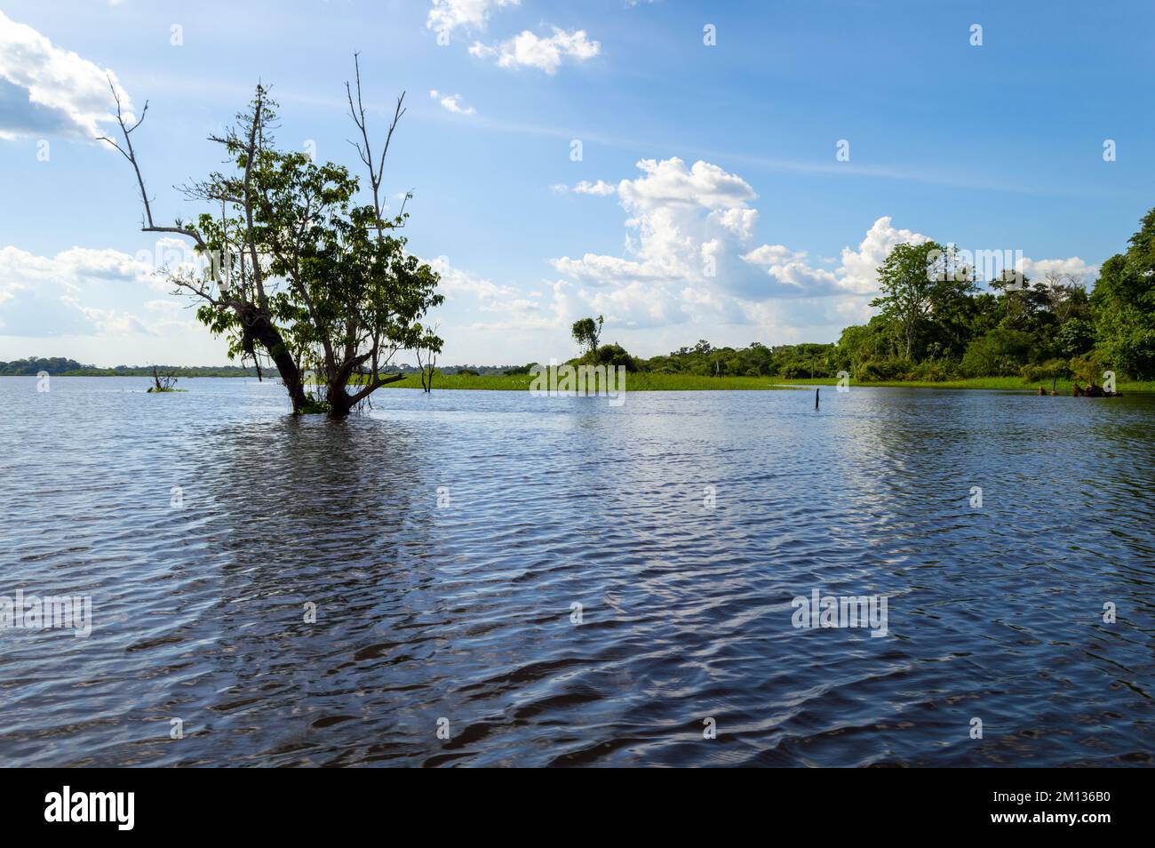 Amazing water landscape of the Amazonas river in the middle of the rain ...